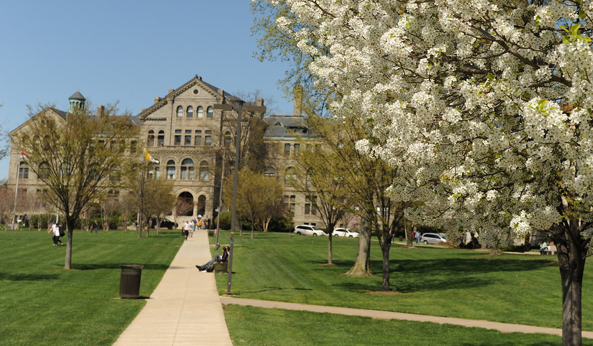 Catholic University Achieves Arbor Day Foundation Tree Campus Honor