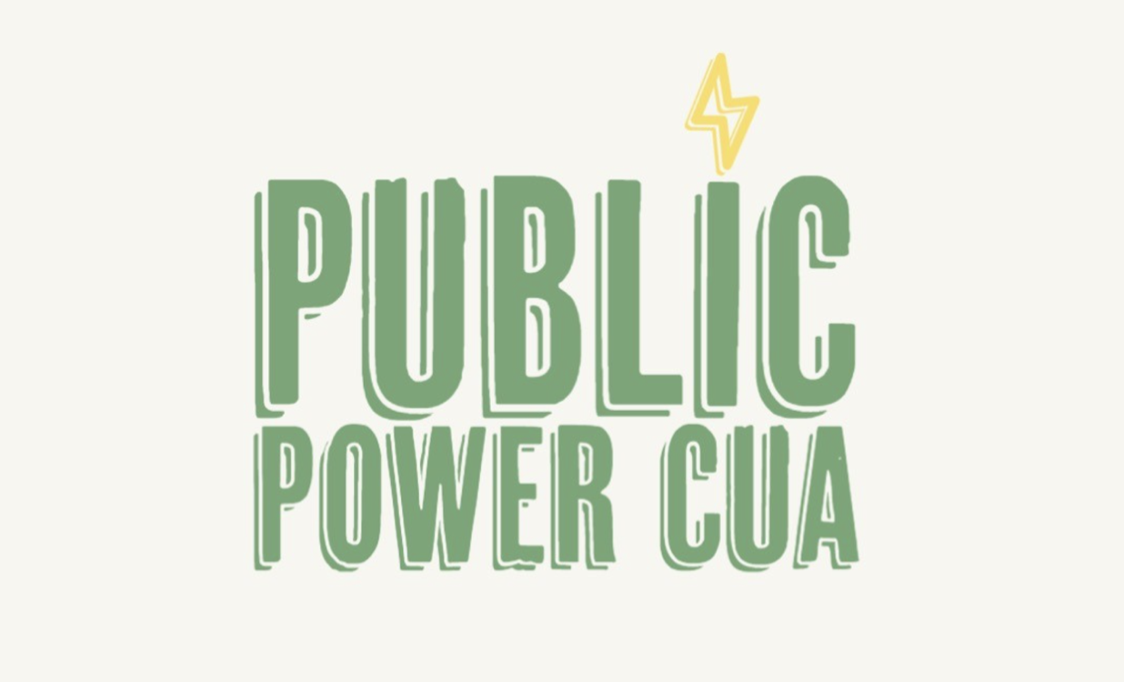 Students Advocate for Public Power in D.C.
